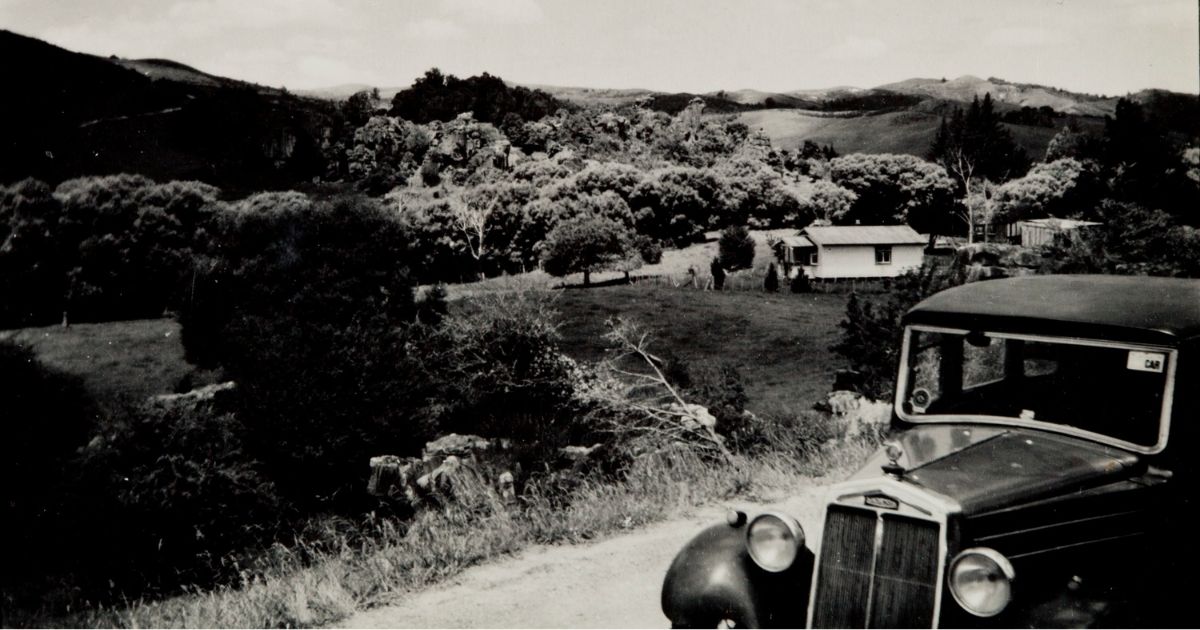 Heritage New Zealand - Tung Nut Scheme Not Quite the Good Oil ...