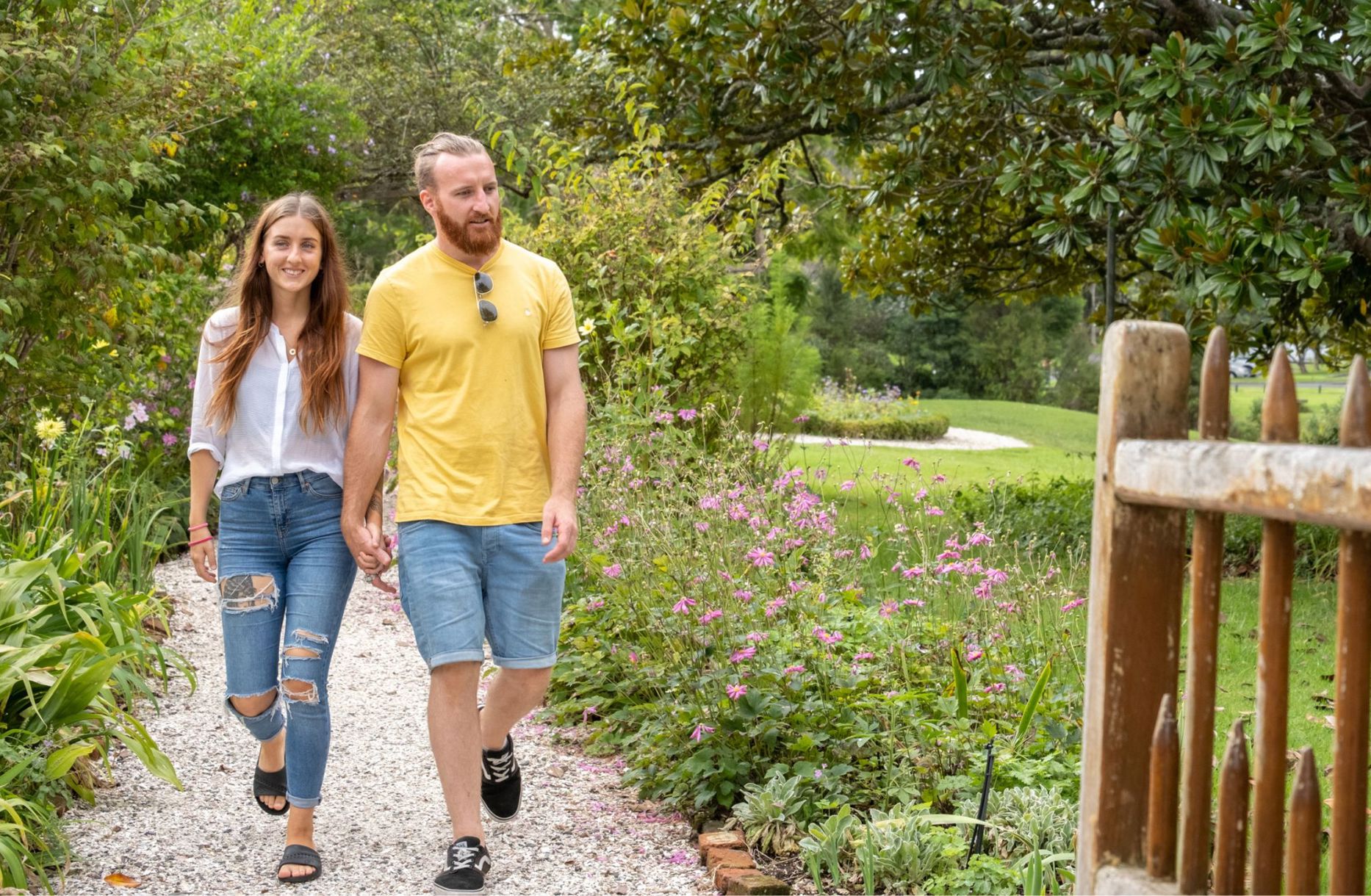 Vallota Lily makes a rare appearance | Heritage New Zealand Pouhere Taonga