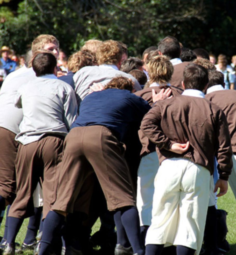 1981 Springboks vs Waikato