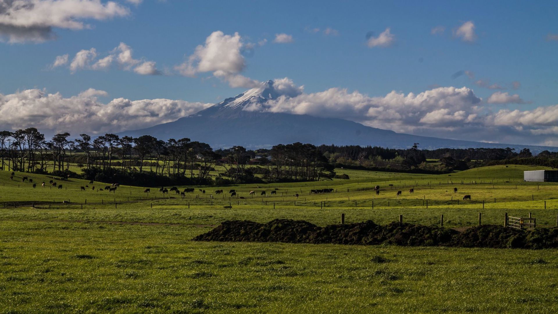 Welcome to Heritage New Zealand