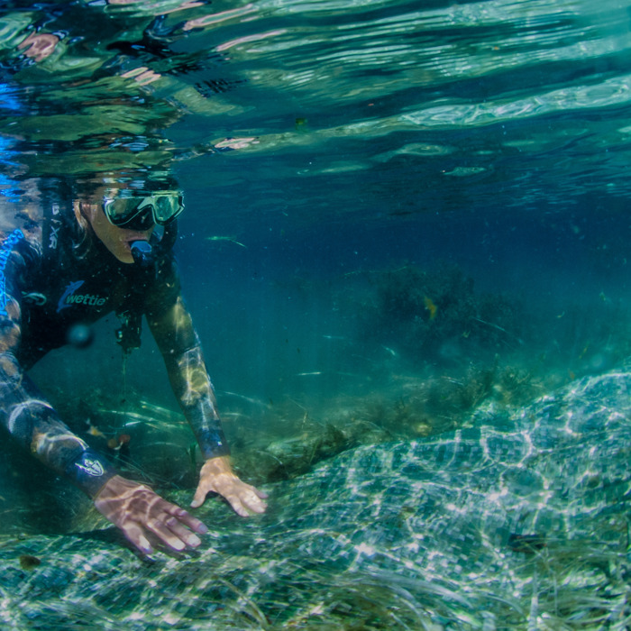 Welcome to Heritage New Zealand