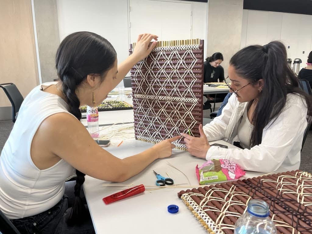 Hinemihi Update 20 May 2025