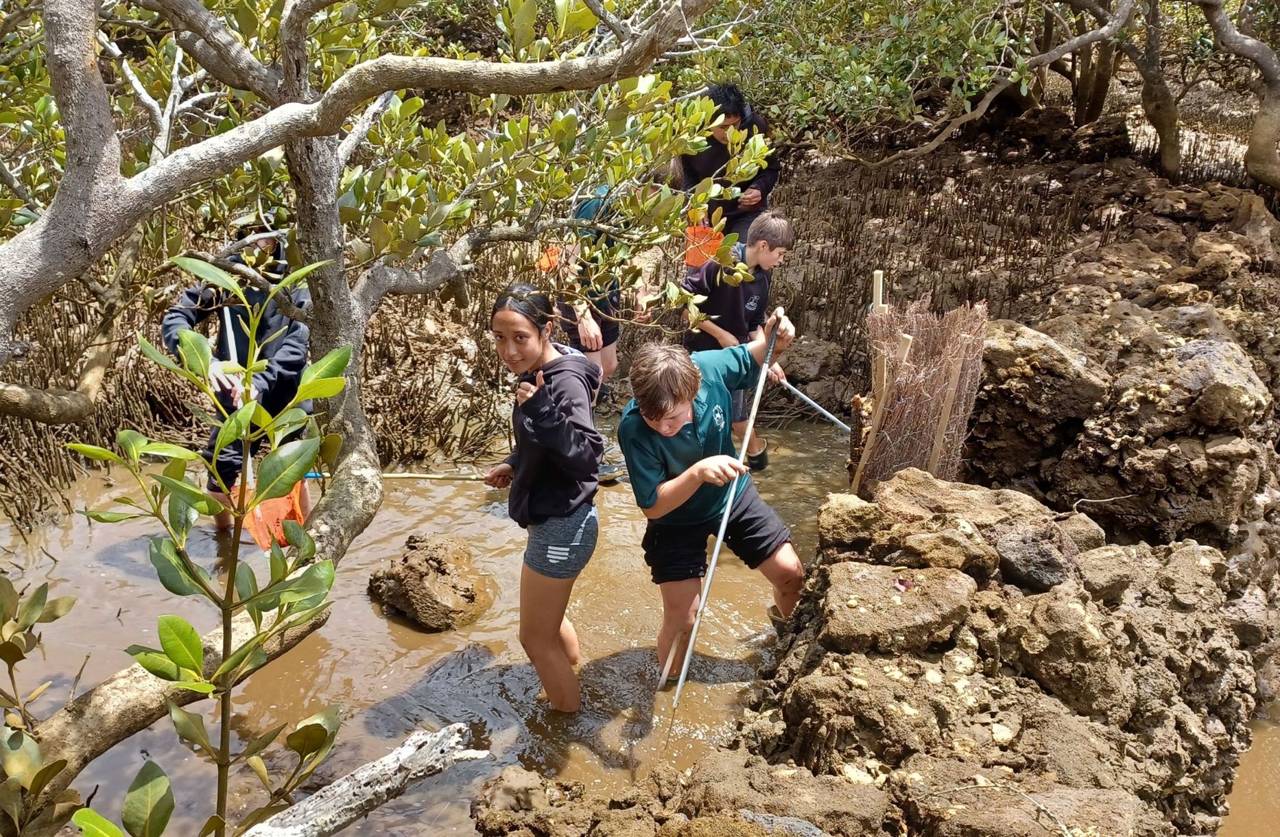 Fish on the menu thanks to archaeological fish trap | Heritage New ...