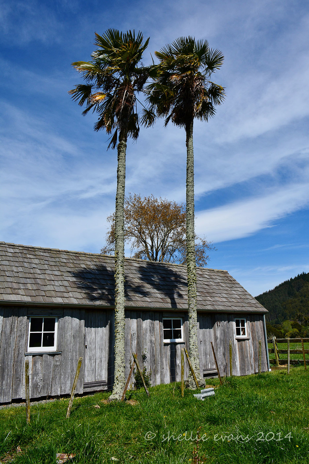 Heritage New Zealand - Visit Heritage Guide | Attractions, Museums ...