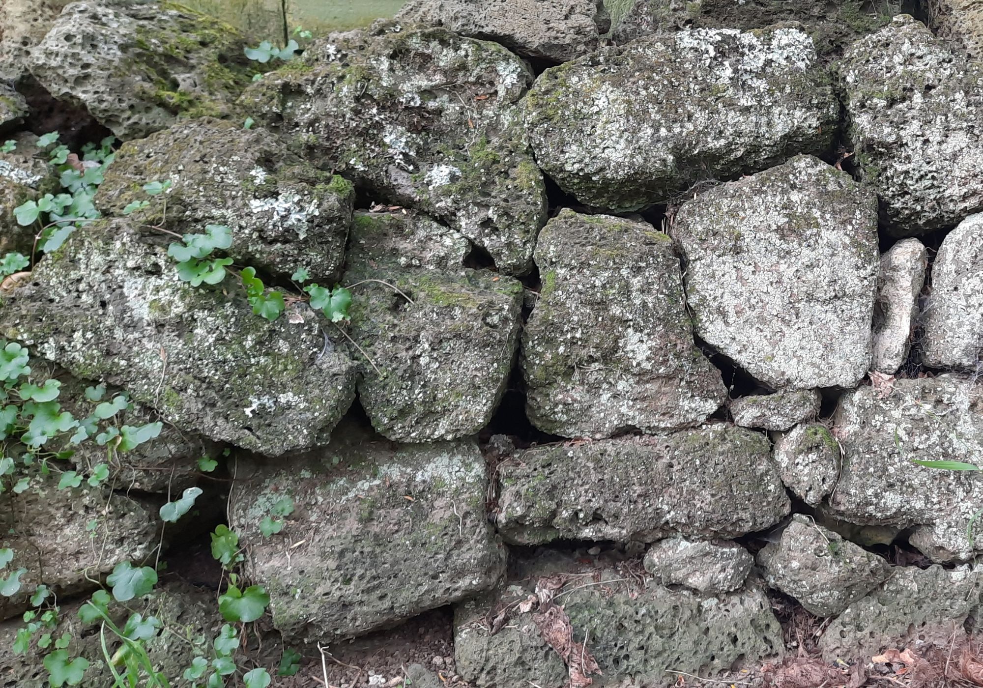 Heritage New Zealand - Basalt on the Boundary | Heritage New Zealand ...